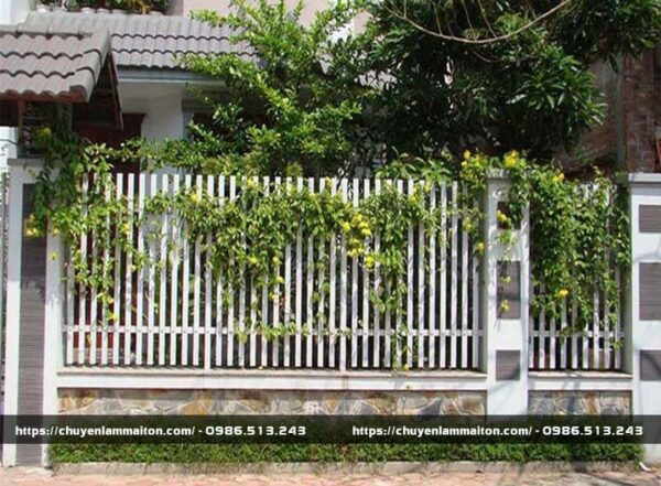 30+ ý tưởng thiết kế và trang trí hàng rào đẹp nhất hiện nay - Chuyên ...